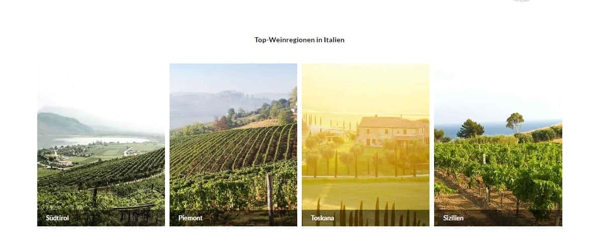 Marken Italien - W-wie-wein Premium-Weinversand